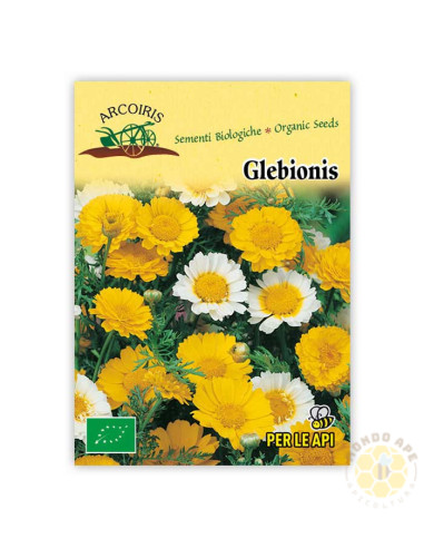 SEMI DI GLEBIONIS CORONARIA